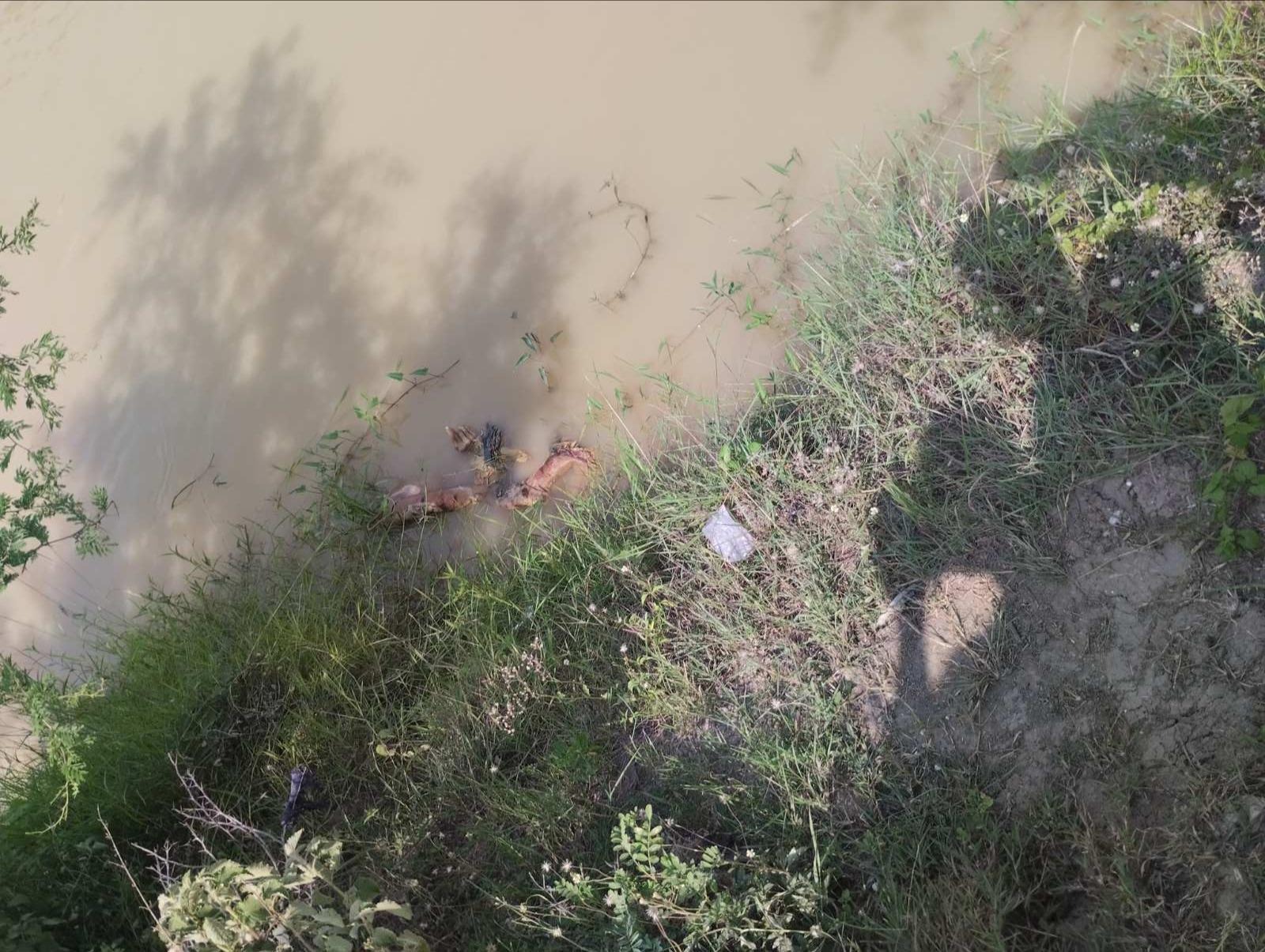 Myanmar military accused of using explosives in execution of five ...